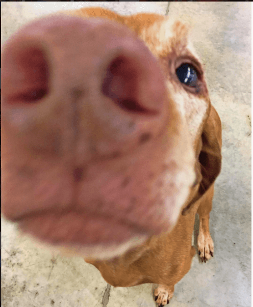 How to Create a Scalable Client Experience Process - Spin Sucks